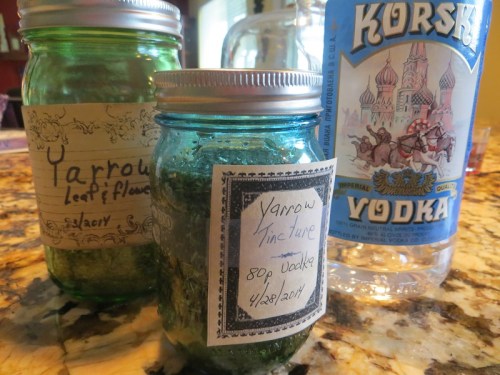 How to Make Herbal Preparations…… | My Moonlit Path.....